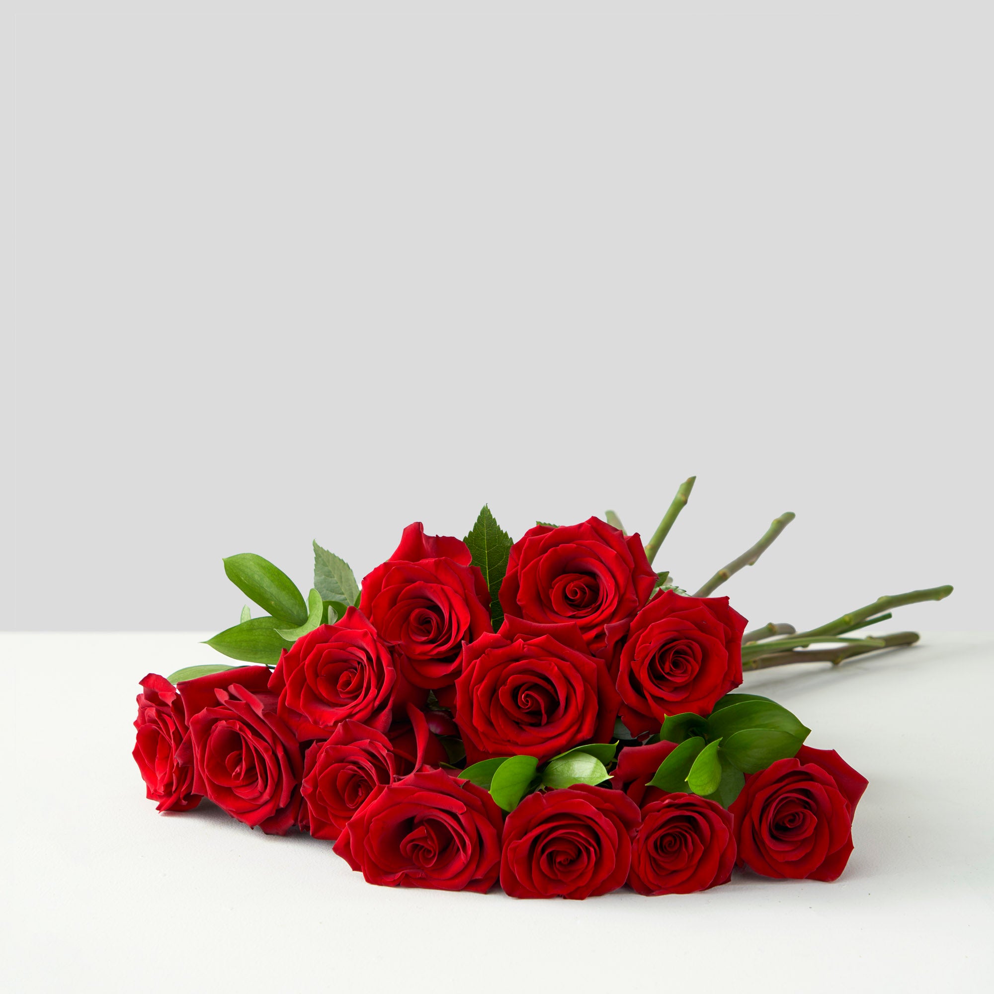 12 Explorer Roses | Westmount Florist