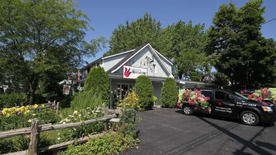 Our Stores | Westmount Florists